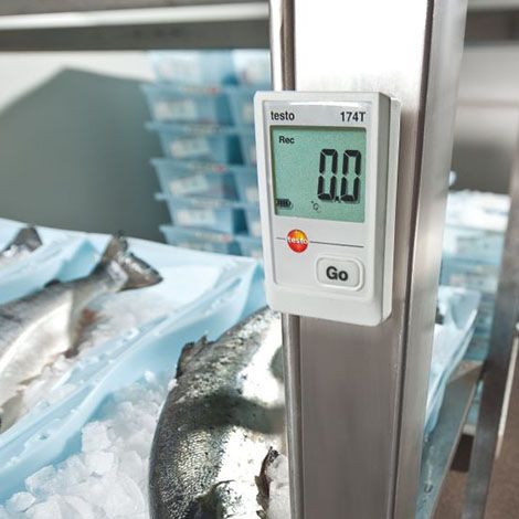 Testo 174T เครื่องบันทึกอุณหภูมิ | AT SCIENCE